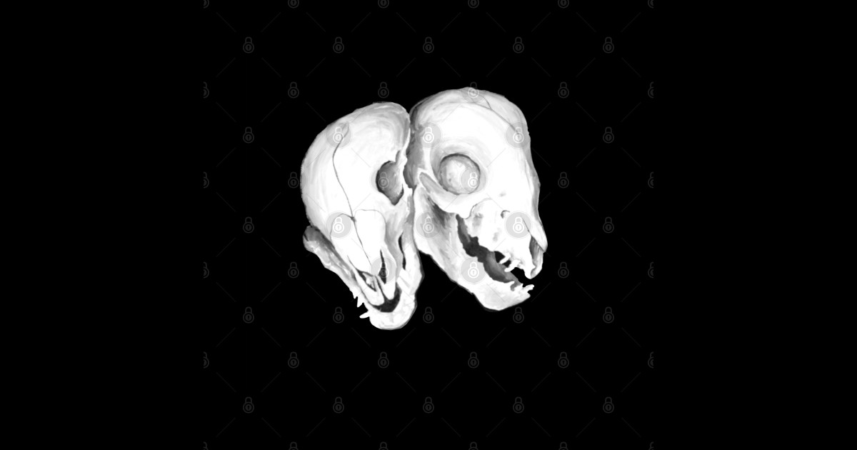 Conjoined Fetal Pig Skulls - Skull - Sticker | TeePublic