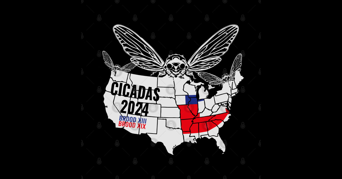Cicada Map 2024 Cicada Emergence Cicadas Invasion - Cicada 2024 ...