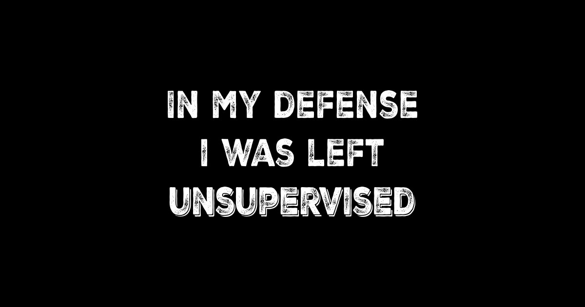 Funny In My Defense I Was Left Unsupervised Funny In My Defense I Was