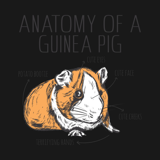 Anatomy Of A Guinea Pig - Anatomy Of A Guinea Pig - T-Shirt