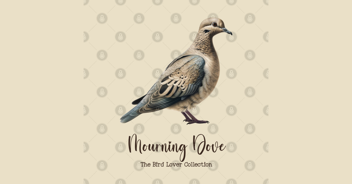 Mourning Dove - The Bird Lover Collection - Mourning Dove - T-Shirt ...