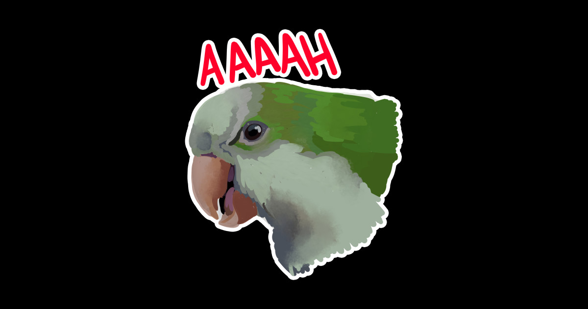 Screaming parrot - Meme - Sticker | TeePublic
