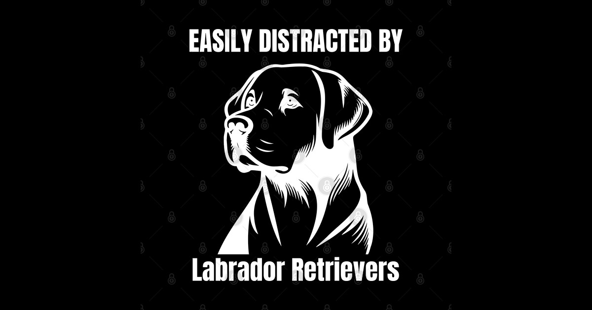 Easily Distracted By Labrador Retrievers - Dog - Sticker | TeePublic
