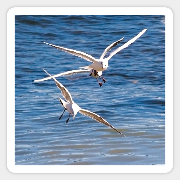 just fly - Just Fly - Sticker | TeePublic