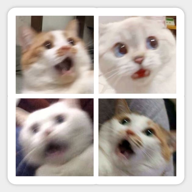 Funny Cute Screaming Cat Meme - Cat - Sticker | TeePublic