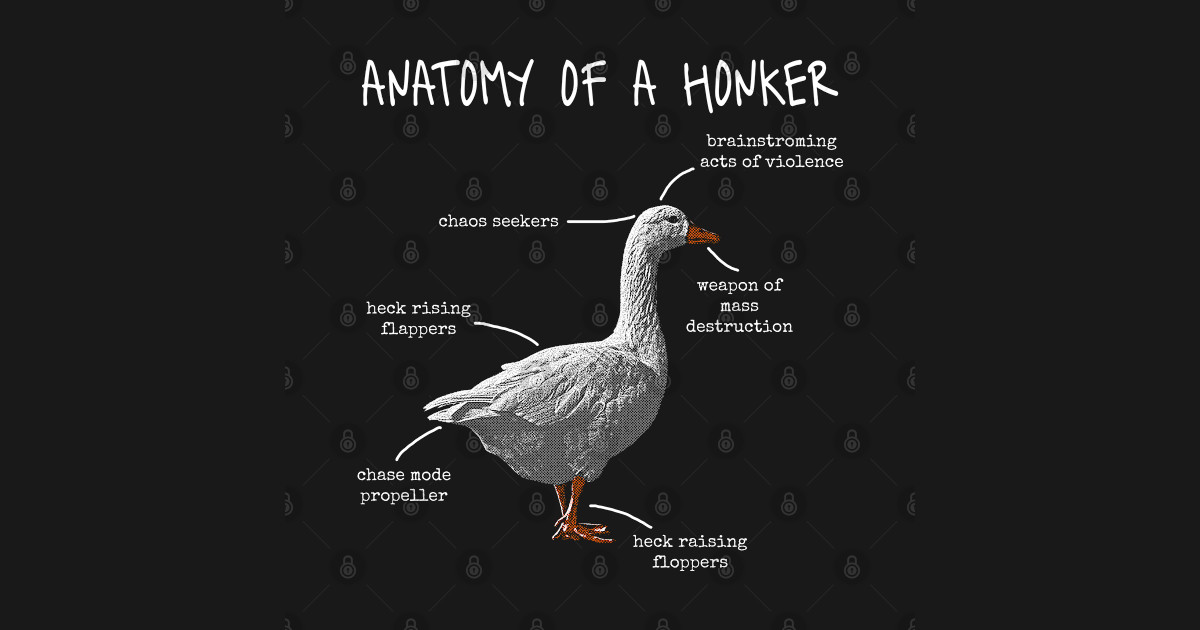 Anatomy Of A Honker - Honker - T-Shirt | TeePublic