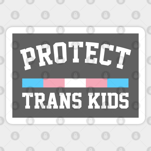 Protect Trans Kids / / Trans Rights Design - Transgender - Sticker ...