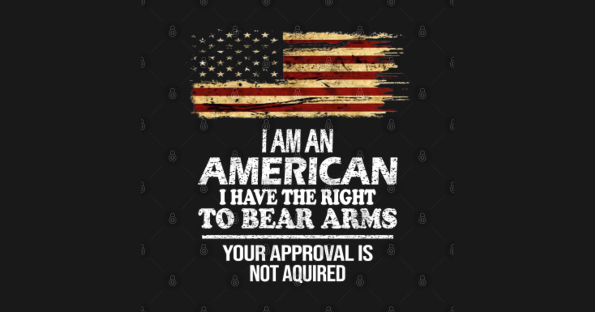 You need a gun pro 2nd amendment - pro gun second amendment gift - 2nd ...