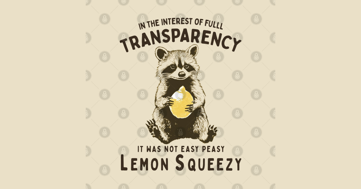 Raccoon Memes Full Transparency Stay Trashy M2164 - Funny - T-Shirt ...