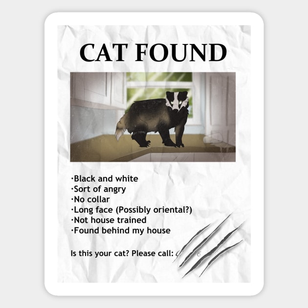 cat found poster