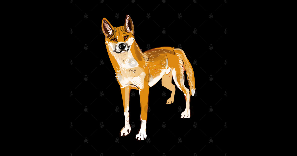 Ginger Desert Dingo - Dingo - Sticker | TeePublic