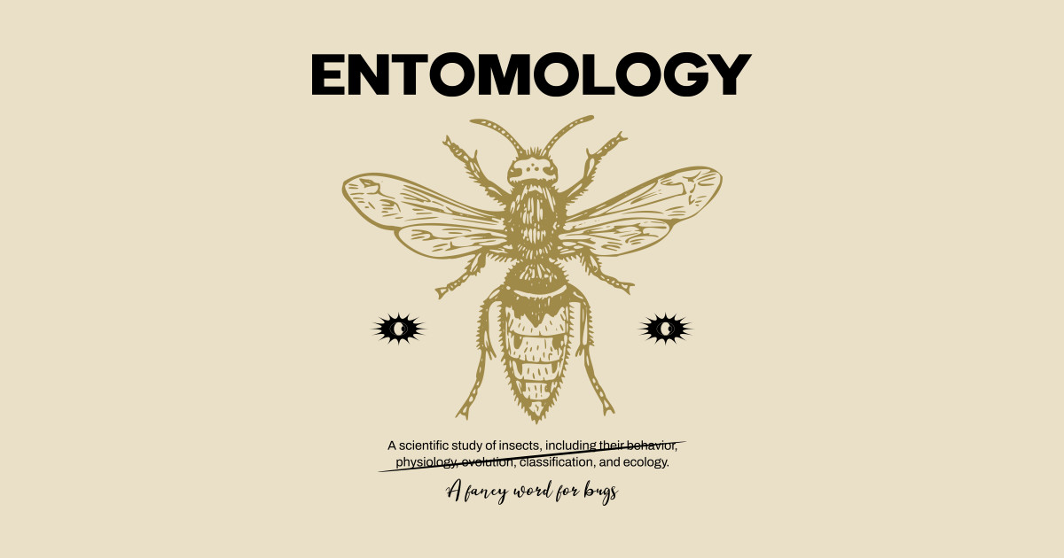 Entomology - Insects - T-Shirt | TeePublic