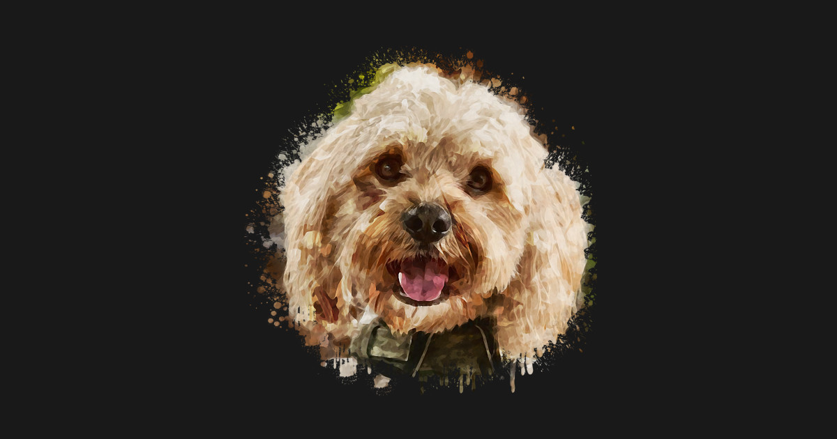 Cavapoo watercolor - Cavapoo - T-Shirt | TeePublic