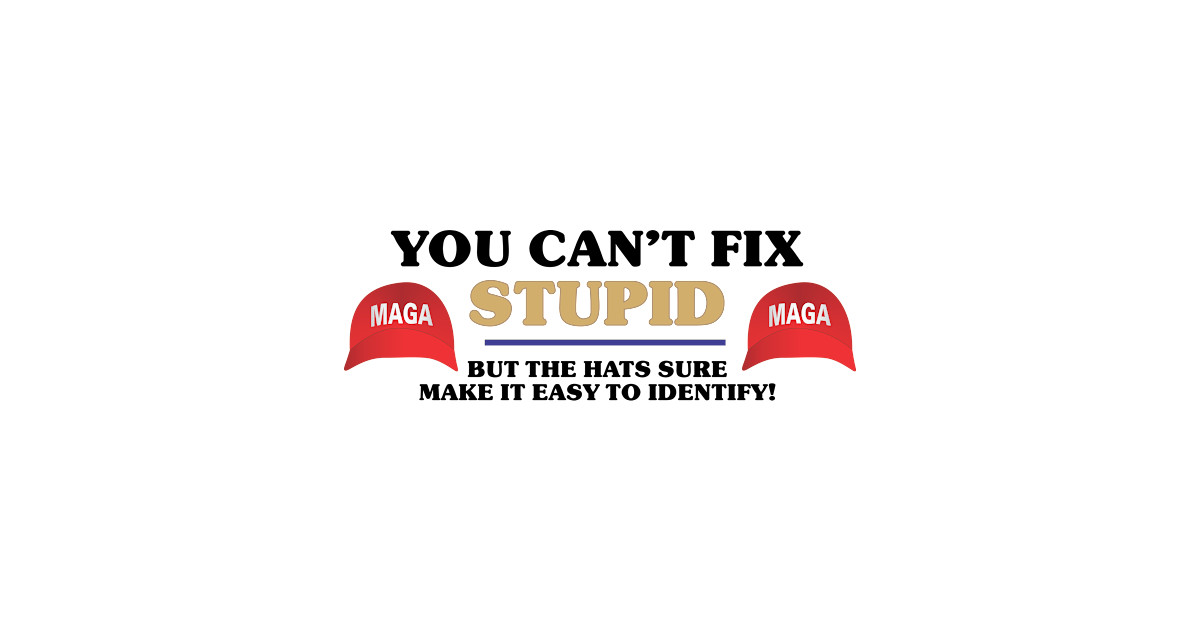 You Can’t Fix Stupid But The Hats Sure Make It Easy To Identify! - Fix ...