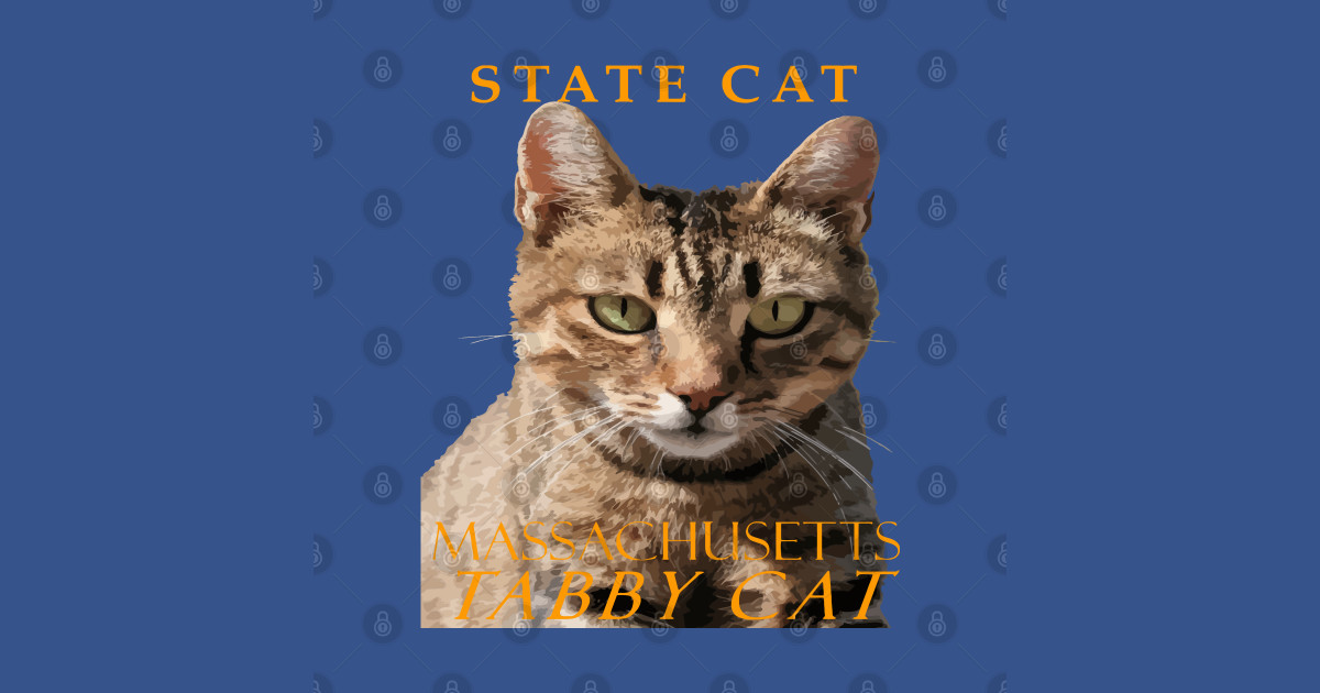 Massachusetts Territory Cat The Cute Brown Tabby Cat - State Cat - T ...