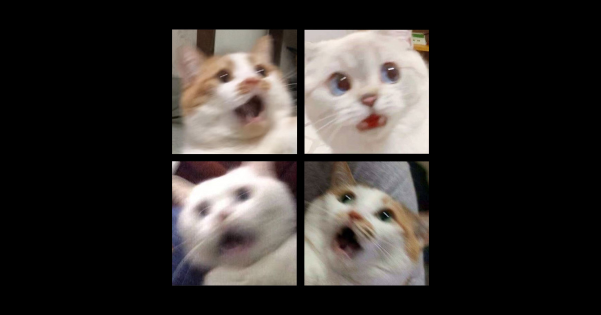 Funny Cute Screaming Cat Meme - Cat - Sticker | TeePublic