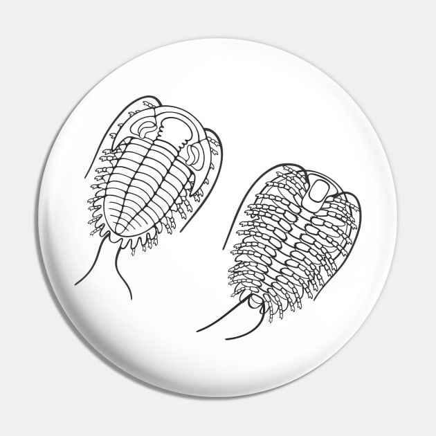 Line Drawing of Phacopid Trilobite - Trilobite - Pin | TeePublic