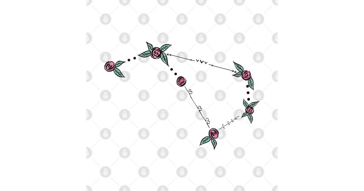 Volans (Flying Fish) Constellation Roses and Hearts Doodle - Volans - T ...