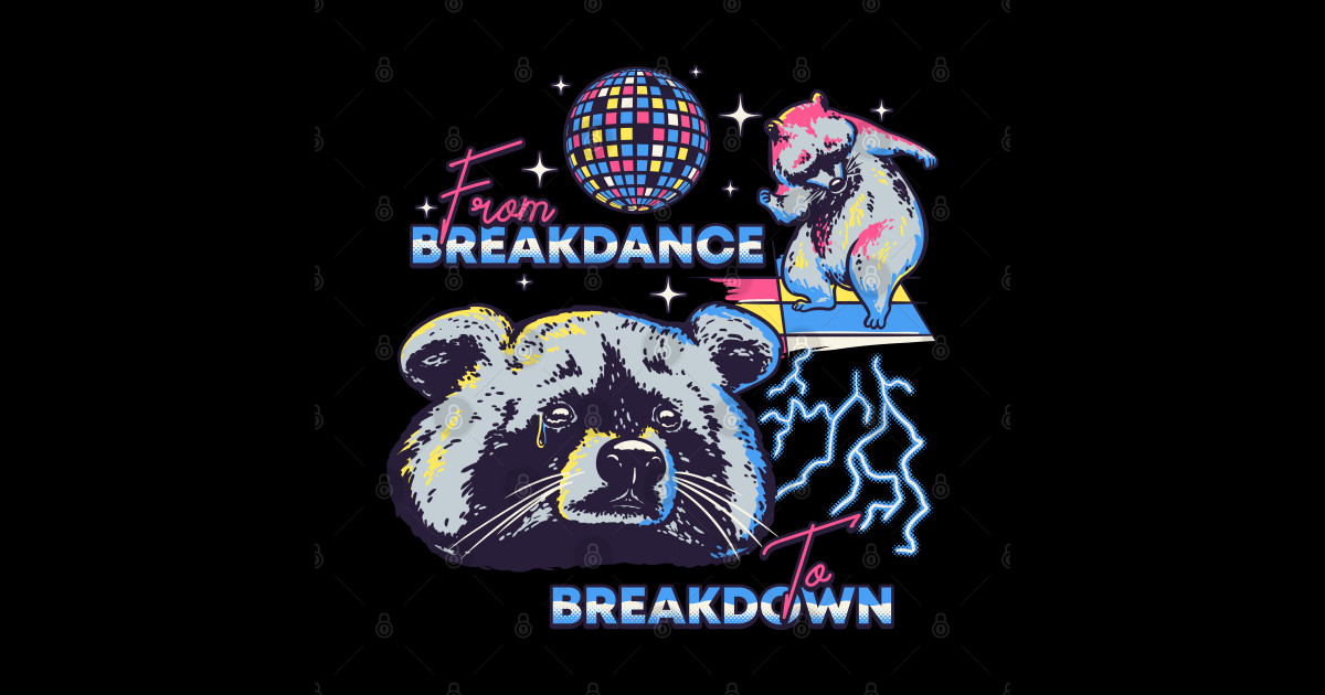 Raccoon MEME | From Breakdance to Breakdown - Raccoon - Posters and Art ...