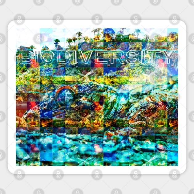 BIODIVERSITY MOSAIC LIZARD | DESIGNING THE BIOSPHERE - Biodiversity ...