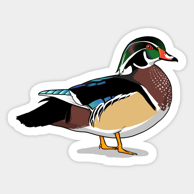 duck decals