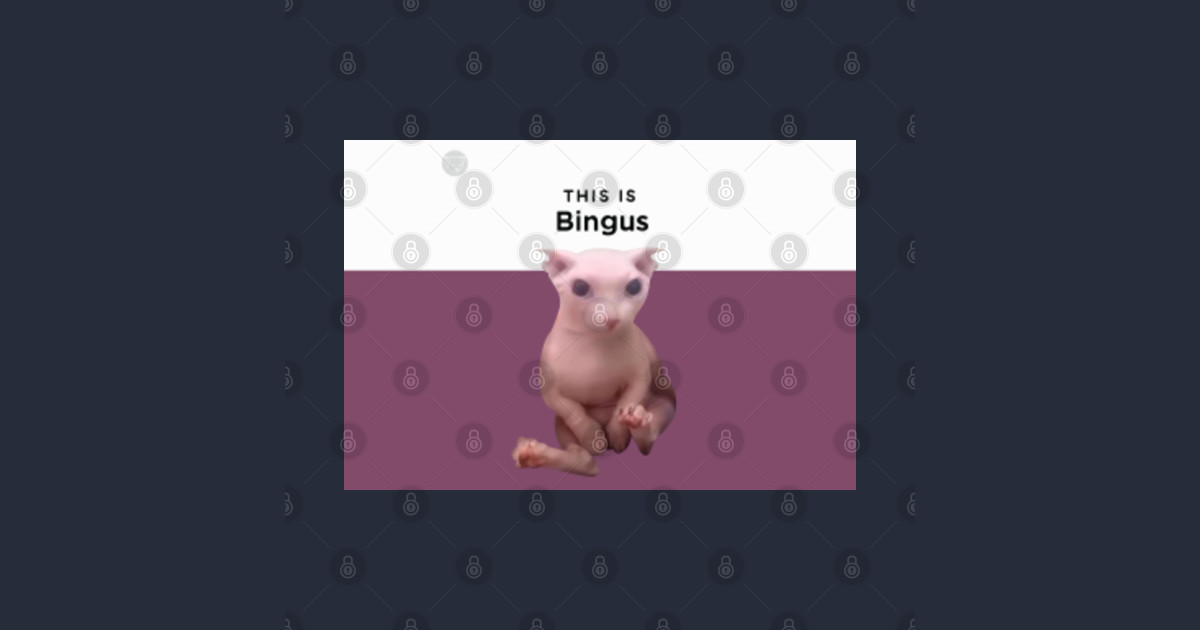 This is Bingus - Bingus - Sticker | TeePublic