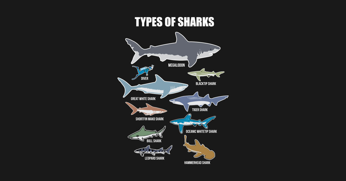 9 Types Of Shark' Educational Shark - Shark - T-Shirt | TeePublic