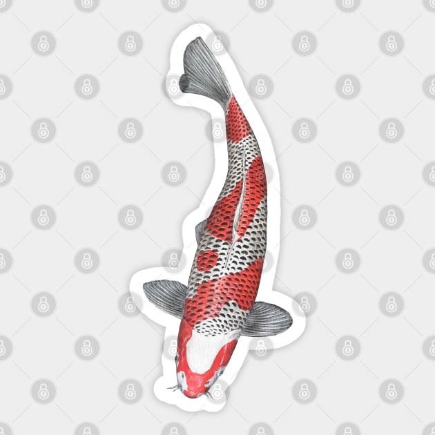 Koi Fish Kuhaku - Koi - Sticker | TeePublic