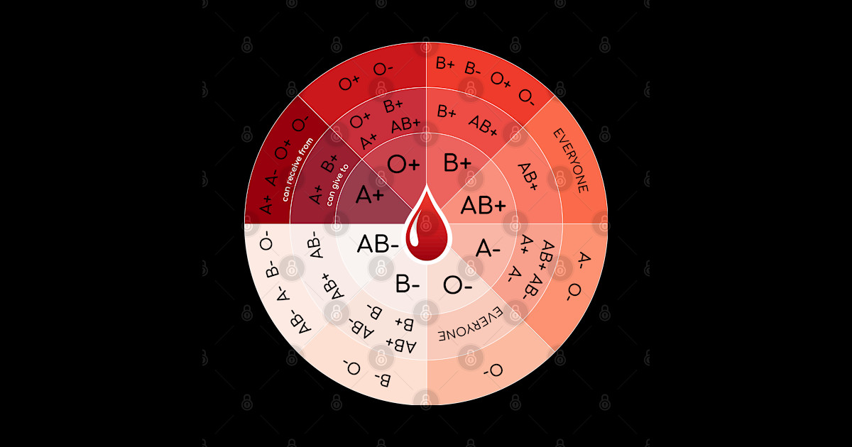 Blood chart wheel - Blood Chart Wheel - Sticker | TeePublic