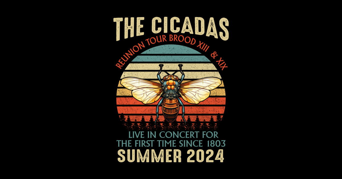 Retro Cicada Brood XIII XIX Summer 2024 Reunion Tour Swarm Cicadas ...