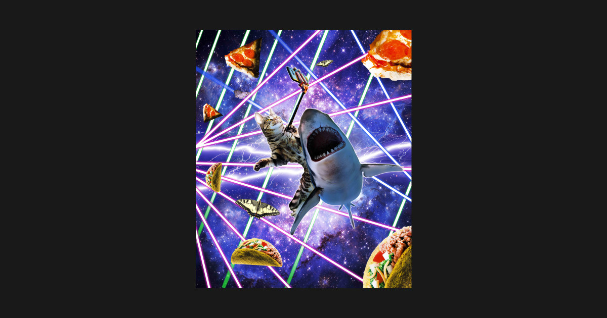 Selfie Cat Riding Shark, Space Rave, Pizza Taco Butterfly - Selfie Cat ...