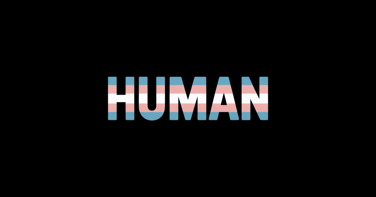 Human Subtle Trans Flag Pride Transgender LGBTQ Queer - Trans Flag ...