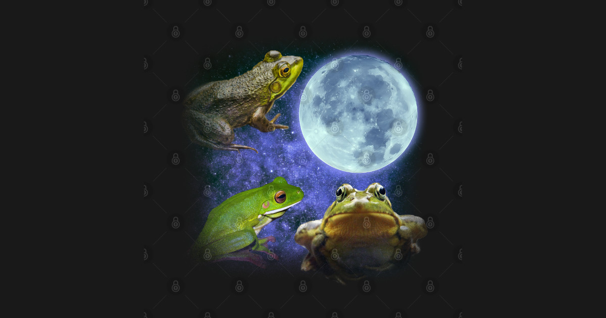Vintage Retro Three Frogs Moon - Frog - T-Shirt | TeePublic