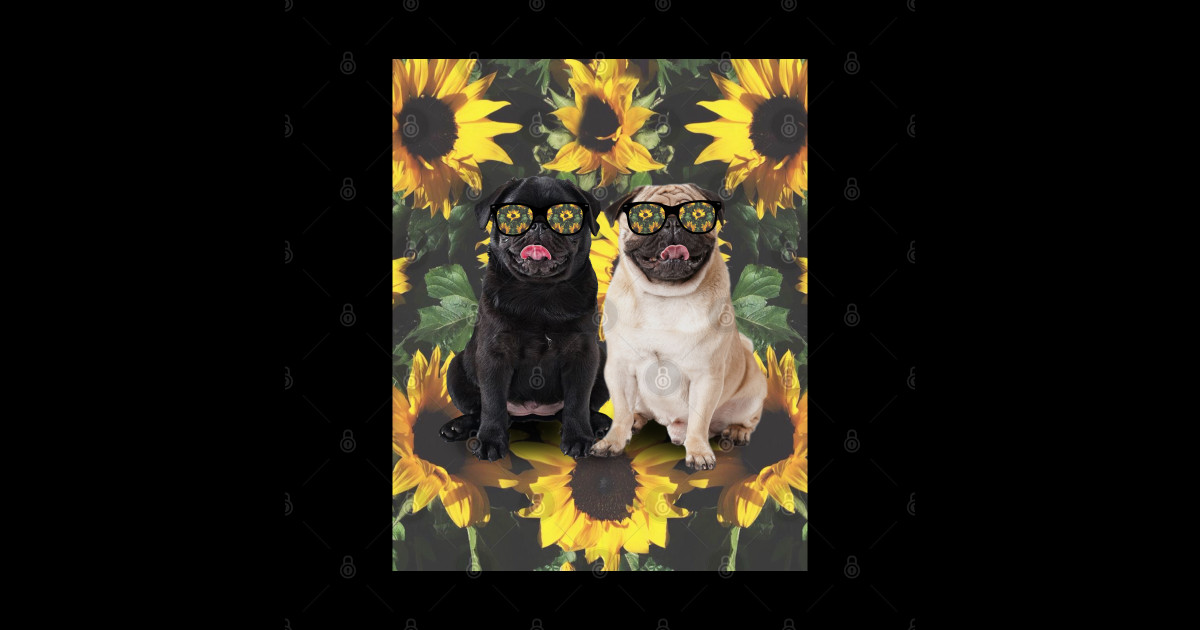 Sunflower Pugs - Pug Lovers - Sticker | TeePublic