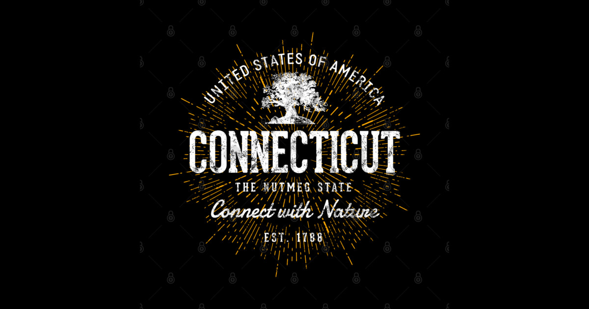 Connecticut Vintage Retro State Of Connecticut The Nutmeg State Connect ...