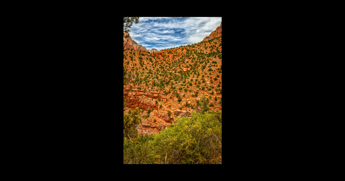 Watchman Trail View, Zion National Park - Watchman Trail Zion National ...