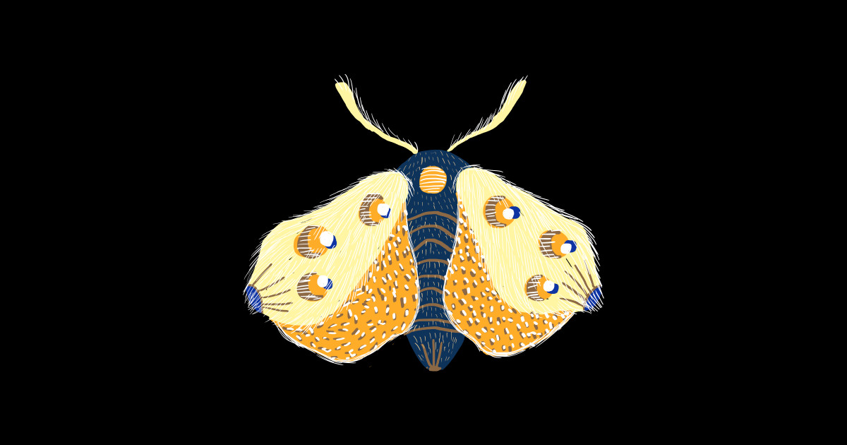 butterfly moth 1 - Butterfly Design - Sticker | TeePublic