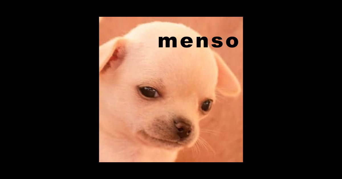 Perrito Groserías Fuertes: Menso - Perrito Perro Groseras Meme Menso ...