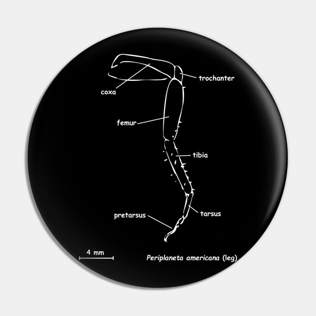 Cockroache leg, labeled, white - Cockroach - Pin | TeePublic