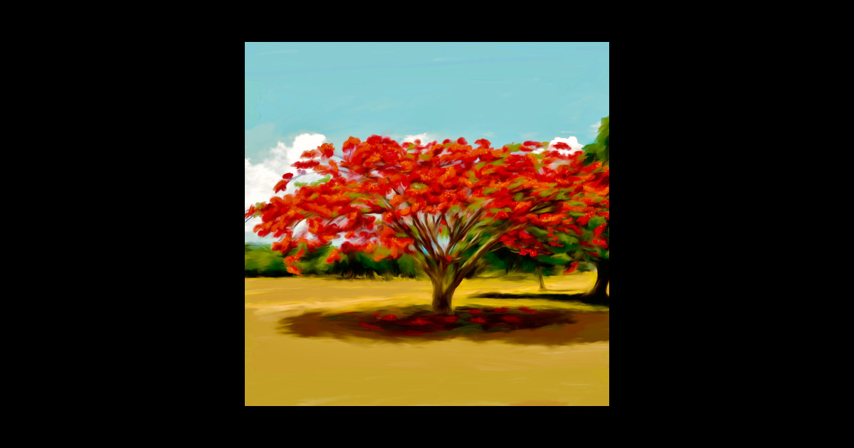 Blooming Red Flamboyan Tree - Flamboyan - Sticker | TeePublic