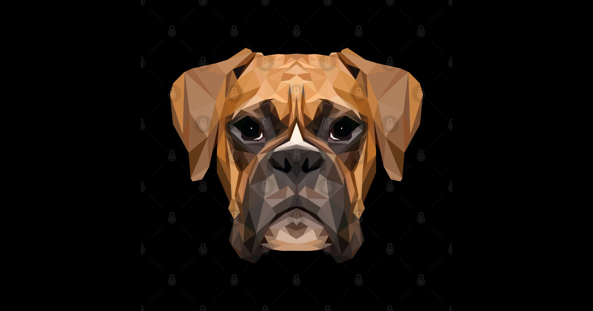 Boxer Low Poly Art - Boxer - Sticker | TeePublic
