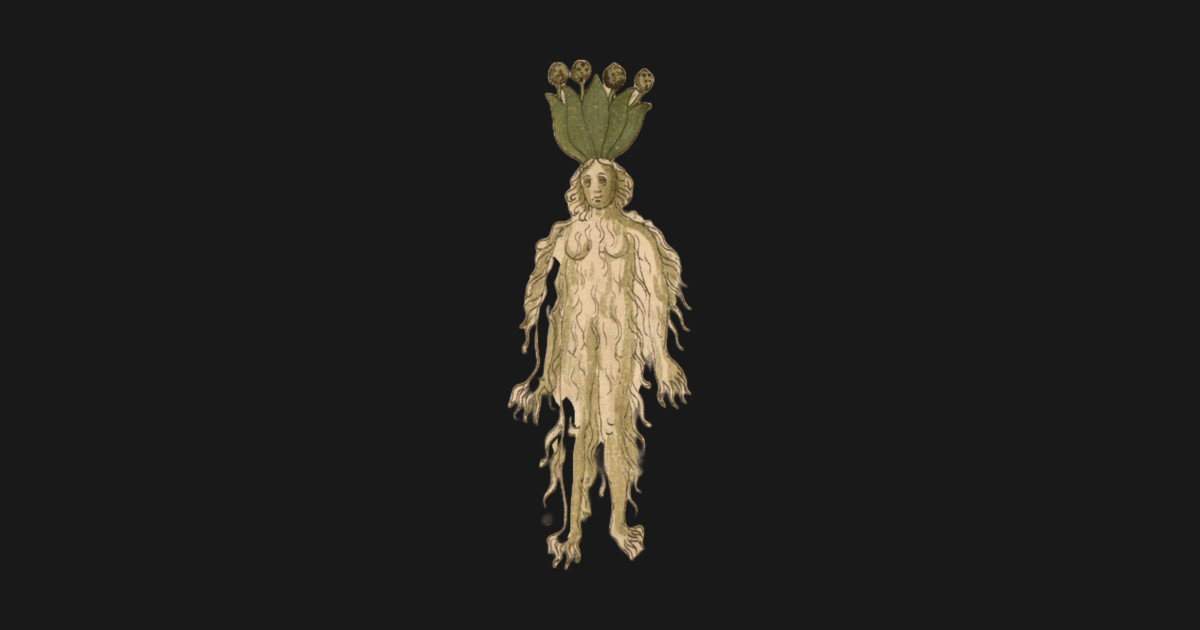 Human Mandrake Roots Herbal Medieval Plant Lover Romantic Spiritual Art ...