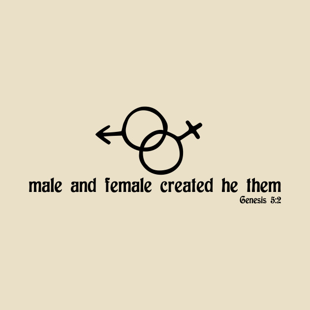 Male and Female Genesis 5:2 Creation of Genders Bible Verse - Gender ...