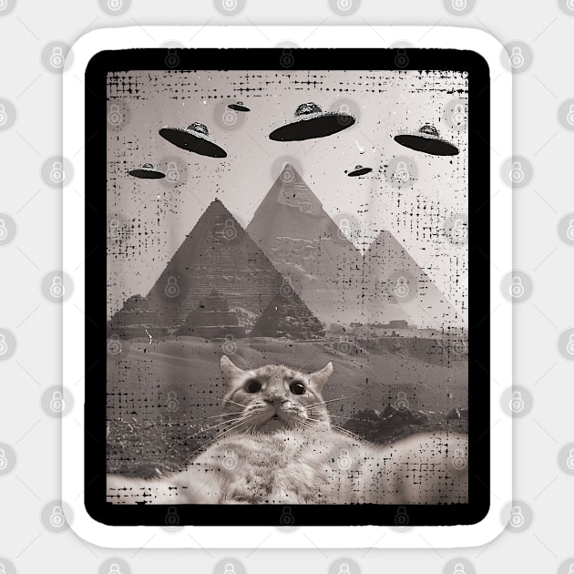 Cat UFO Meme - Funny Cat Selfie with UFOs - Ufo - Sticker | TeePublic