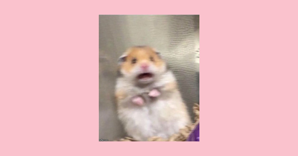 Scared Hamster Meme - Scared Hamster Meme - T-Shirt | TeePublic