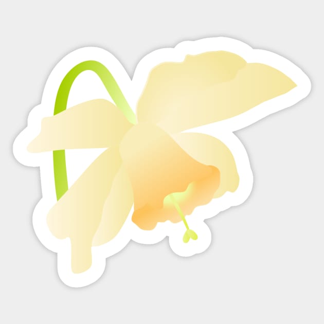 Daffodil Flower - Flower - Sticker | TeePublic