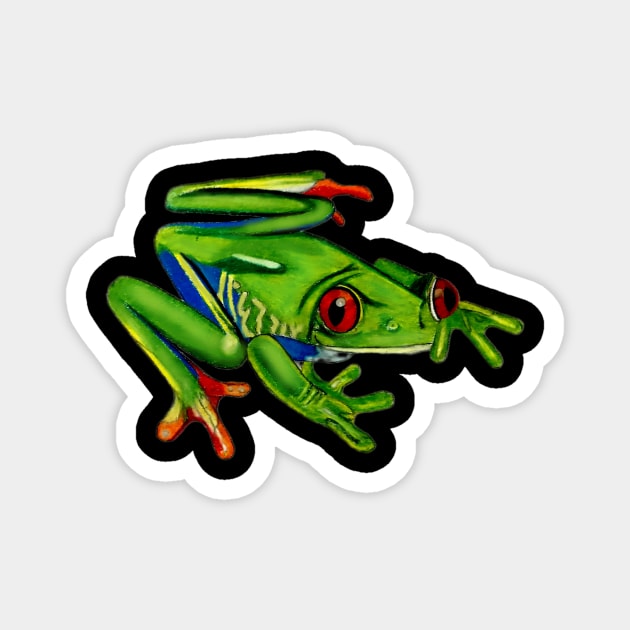Red-Eyed Tree Frog Drawing - Red Eyed Tree Frog - Magnet | TeePublic