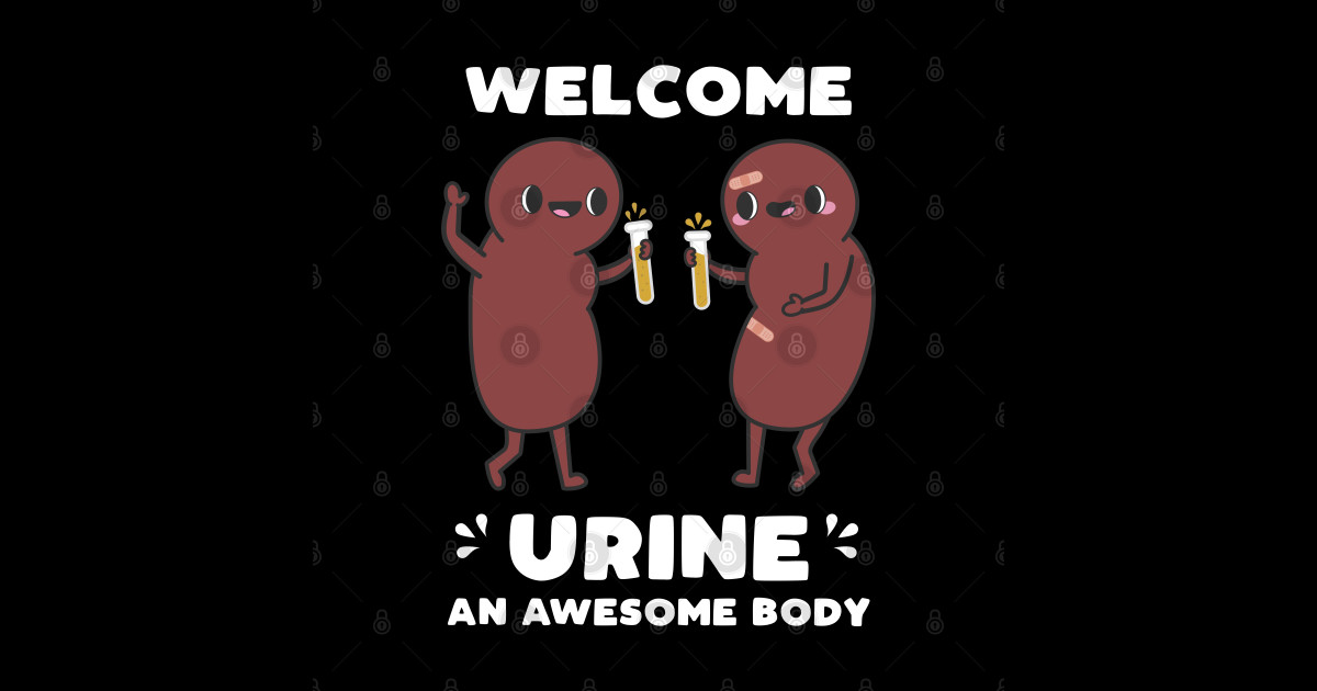 Funny Kidney Organ Transplant Recipient Renal Failure Pun - Kidney ... Funny Kidney Organ Transplant Recipient Renal Failure Pun - Kidney ...