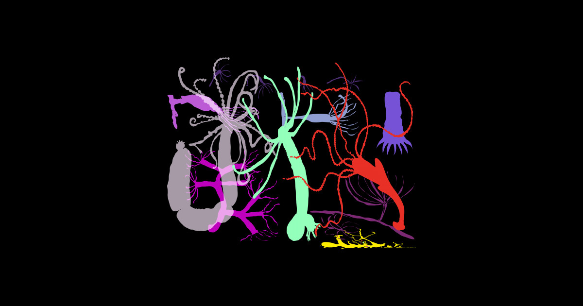 A Harlequin of Hydra - Hydra - Phone Case | TeePublic