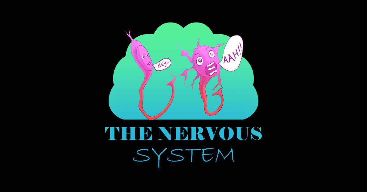 "The Nervous System: When Neurons Get Jumpy! - The Nervous System ...